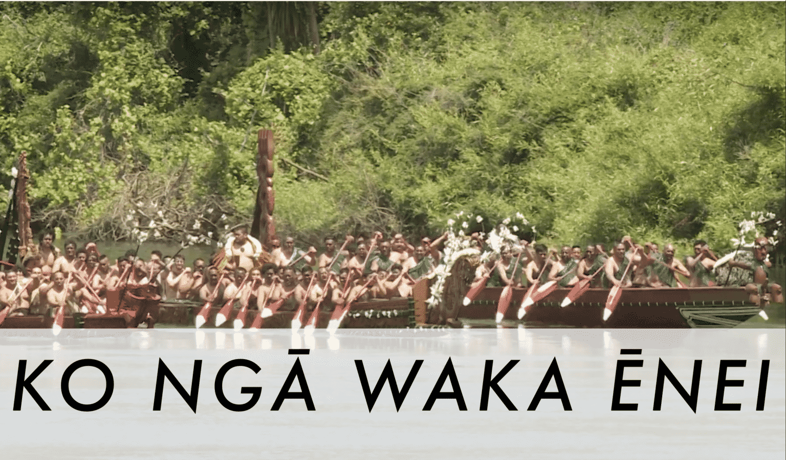 Haka - Online Kapa Haka